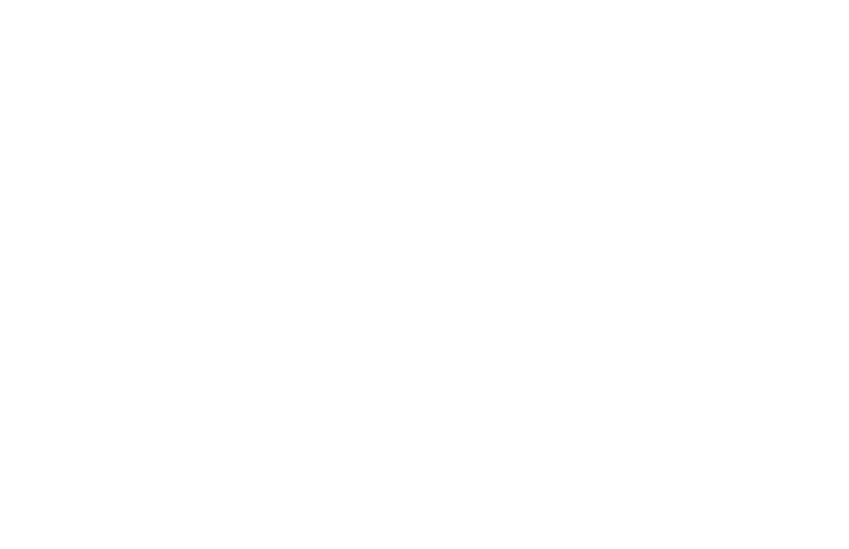 PASSUR - Ariva